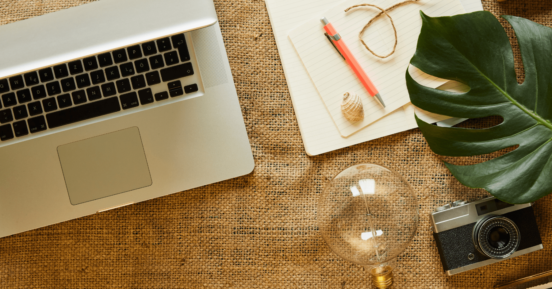 New Work at seventhings: setting new standards in collaboration & work